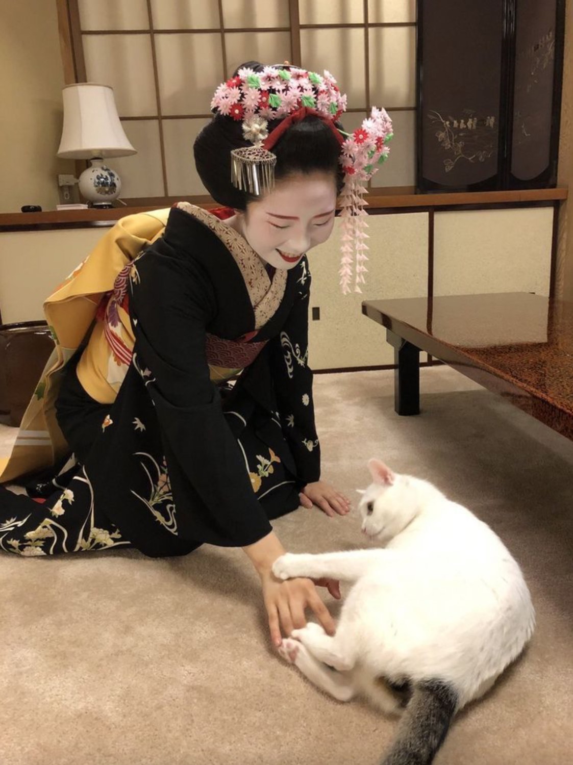 Solve Junior Maiko with a cat jigsaw puzzle online with 204 pieces