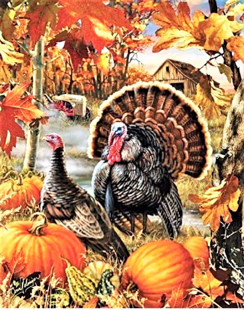 Solve "Gobbler Farm" jigsaw puzzle online with 63 pieces