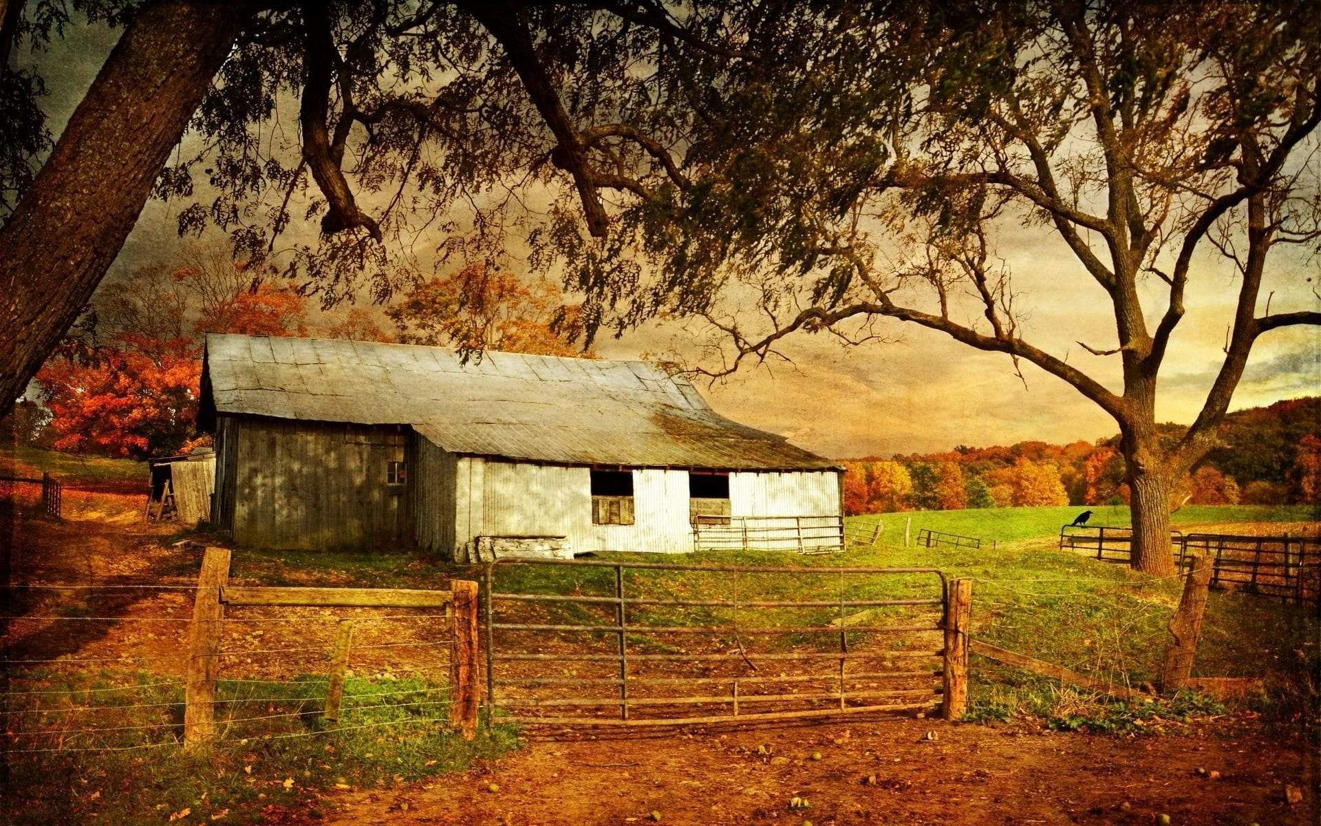 Solve Old Barn On The Old Farm jigsaw puzzle online with 416 pieces