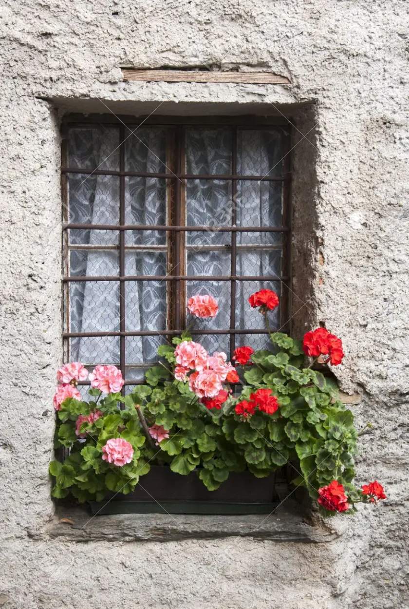 Solve BEAUTIFUL WINDOW jigsaw puzzle online with 70 pieces