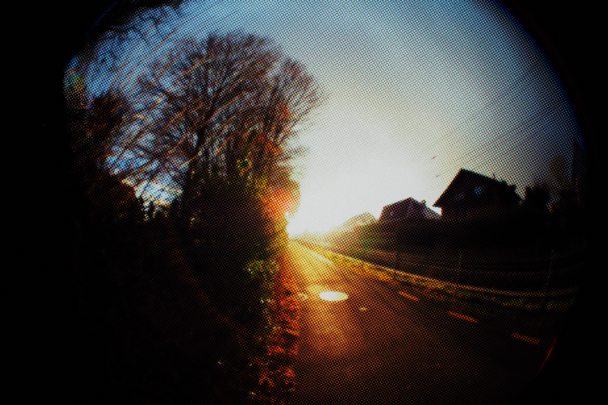 Solve Ahead of Polar Vortex jigsaw puzzle online with 70 pieces