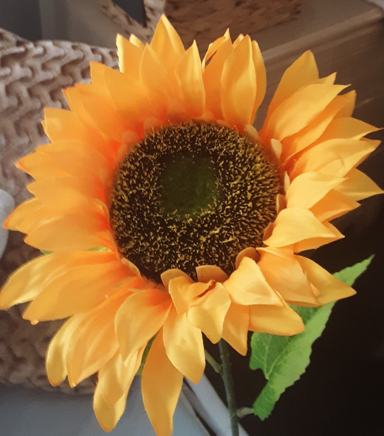 Solve It is real ...in a sense jigsaw puzzle online with 99 pieces