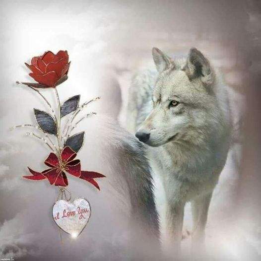 Solve White wolf jigsaw puzzle online with 64 pieces
