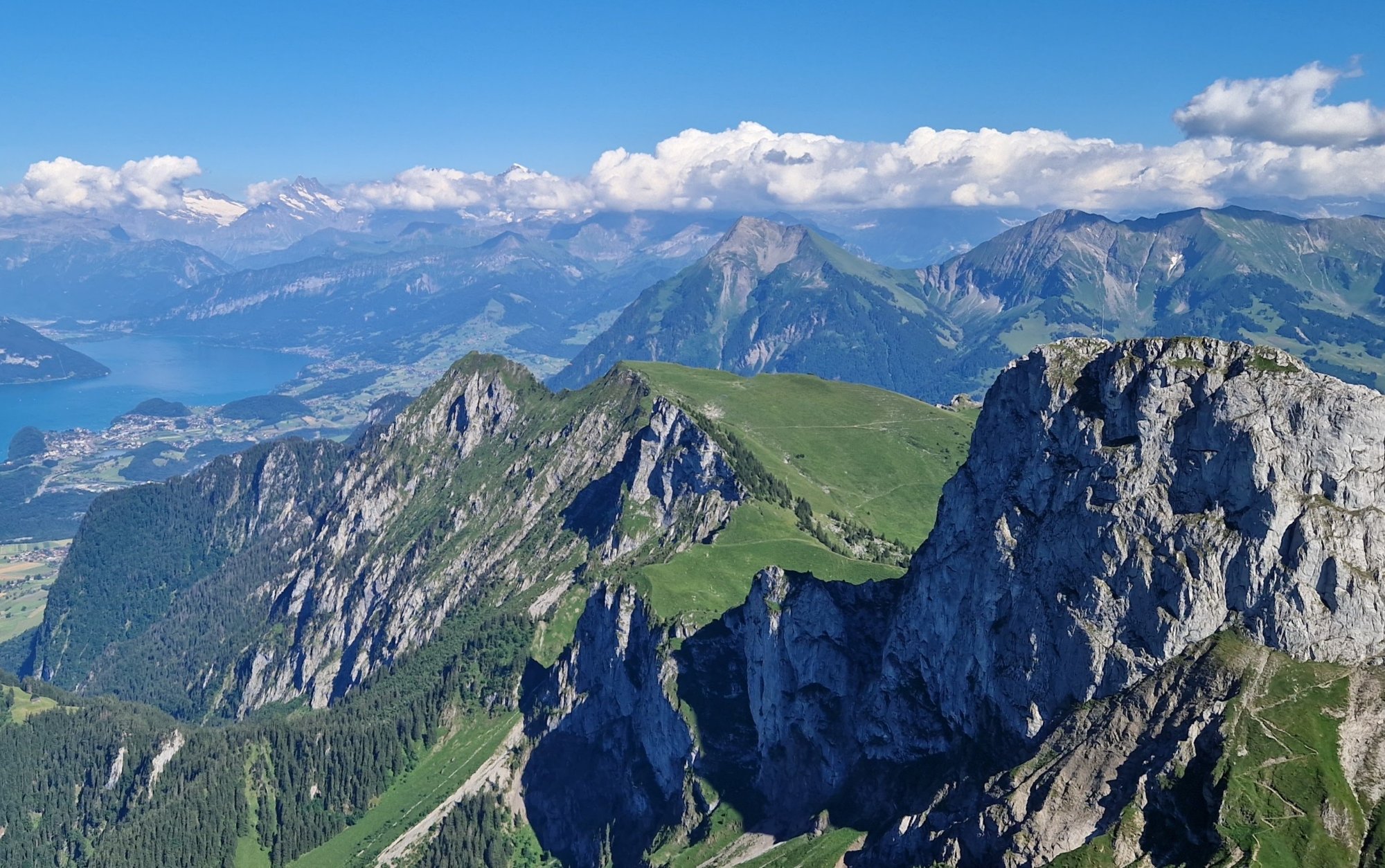 Solve 20250628_170752~2 jigsaw puzzle online with 198 pieces