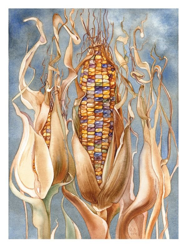 Solve Indian Corn jigsaw puzzle online with 80 pieces