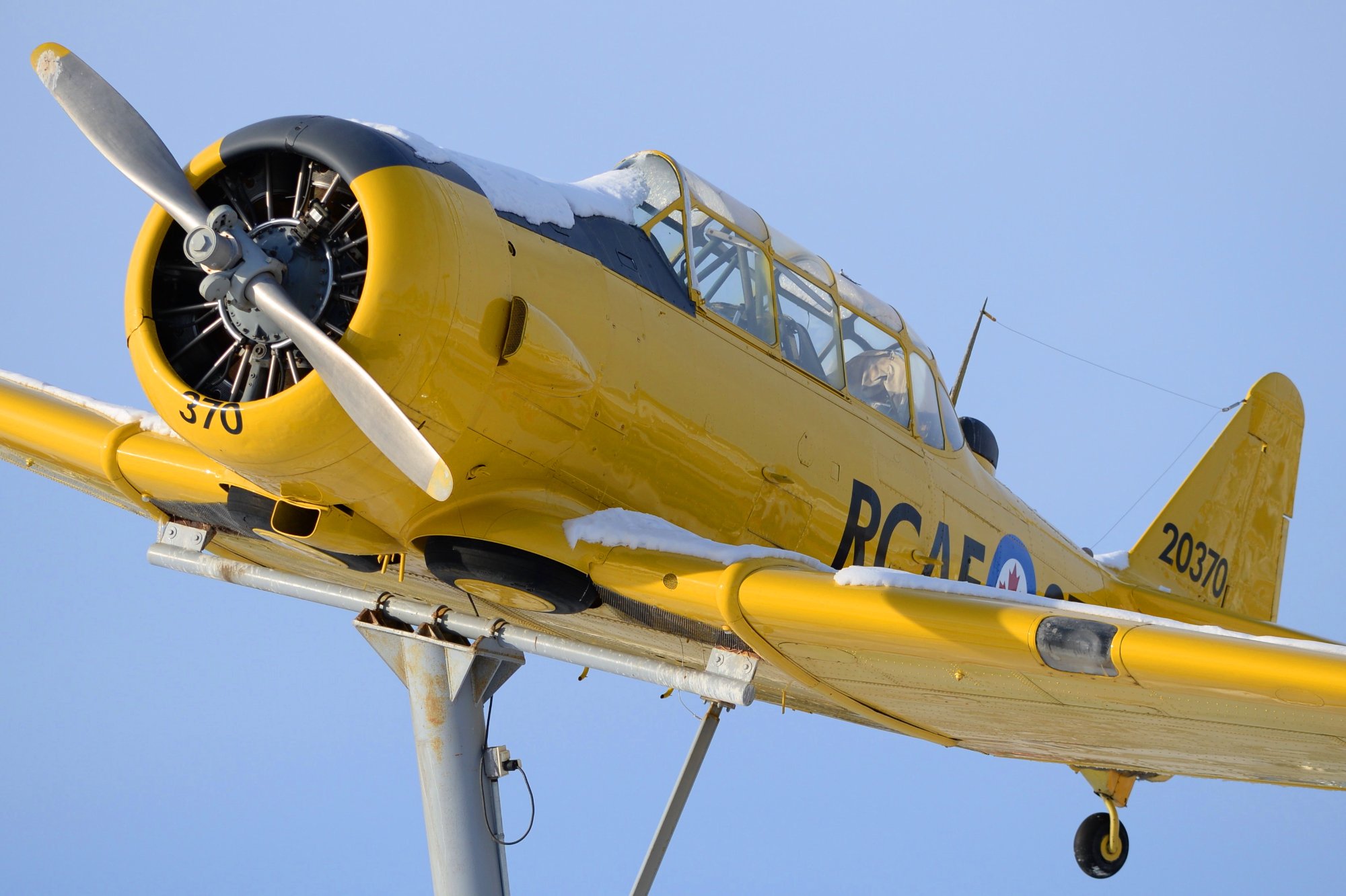 Solve RCAF Harvard jigsaw puzzle online with 70 pieces