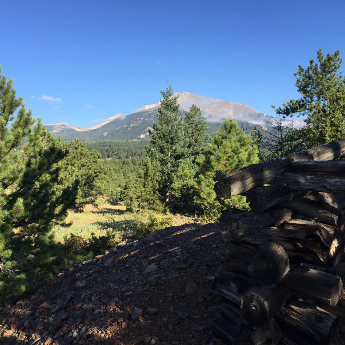 Solve Log Cabin jigsaw puzzle online with 81 pieces