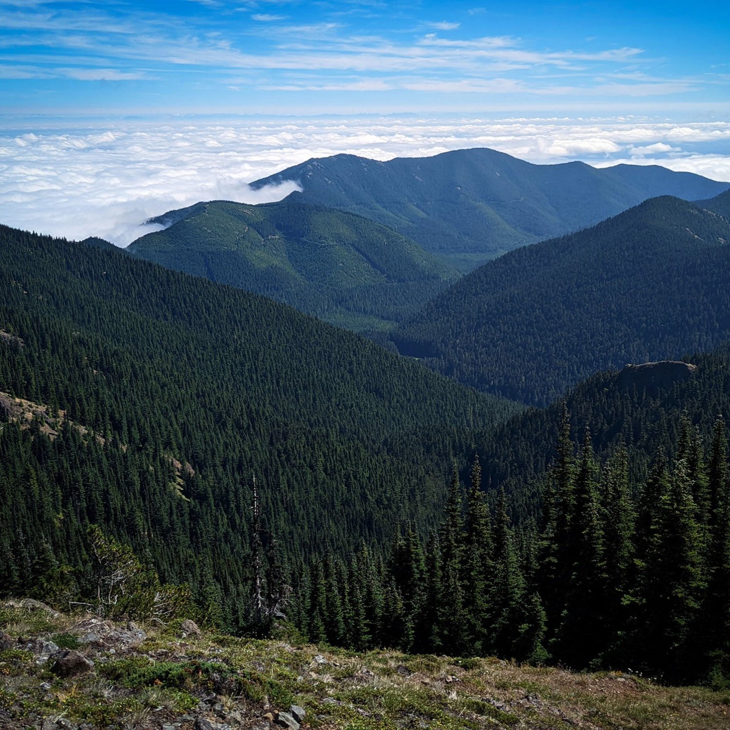 Solve Above the Clouds jigsaw puzzle online with 100 pieces