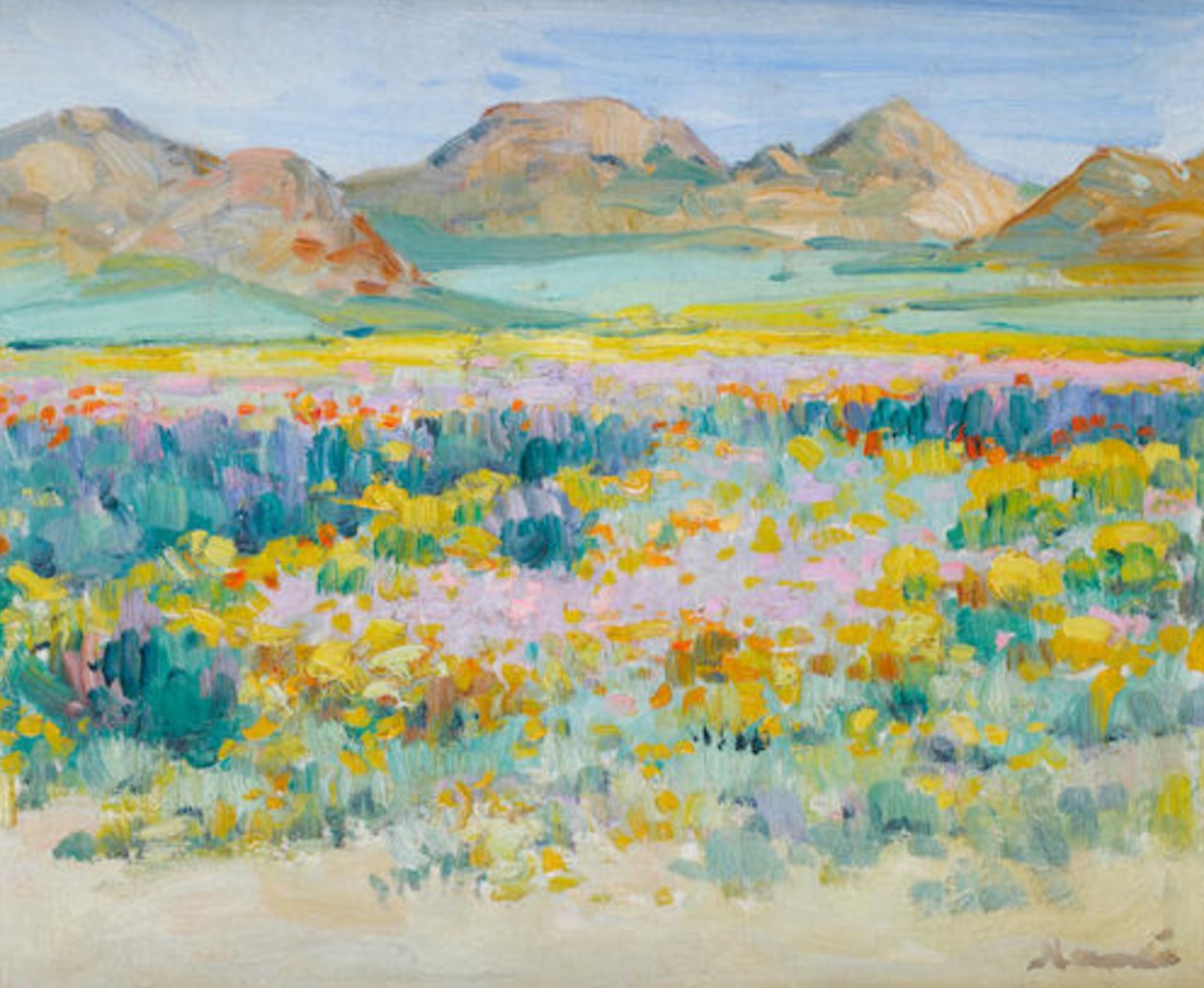 Solve Pieter Hugo Naudé (South African, 1869–1941), Namaqualand Flowers ...