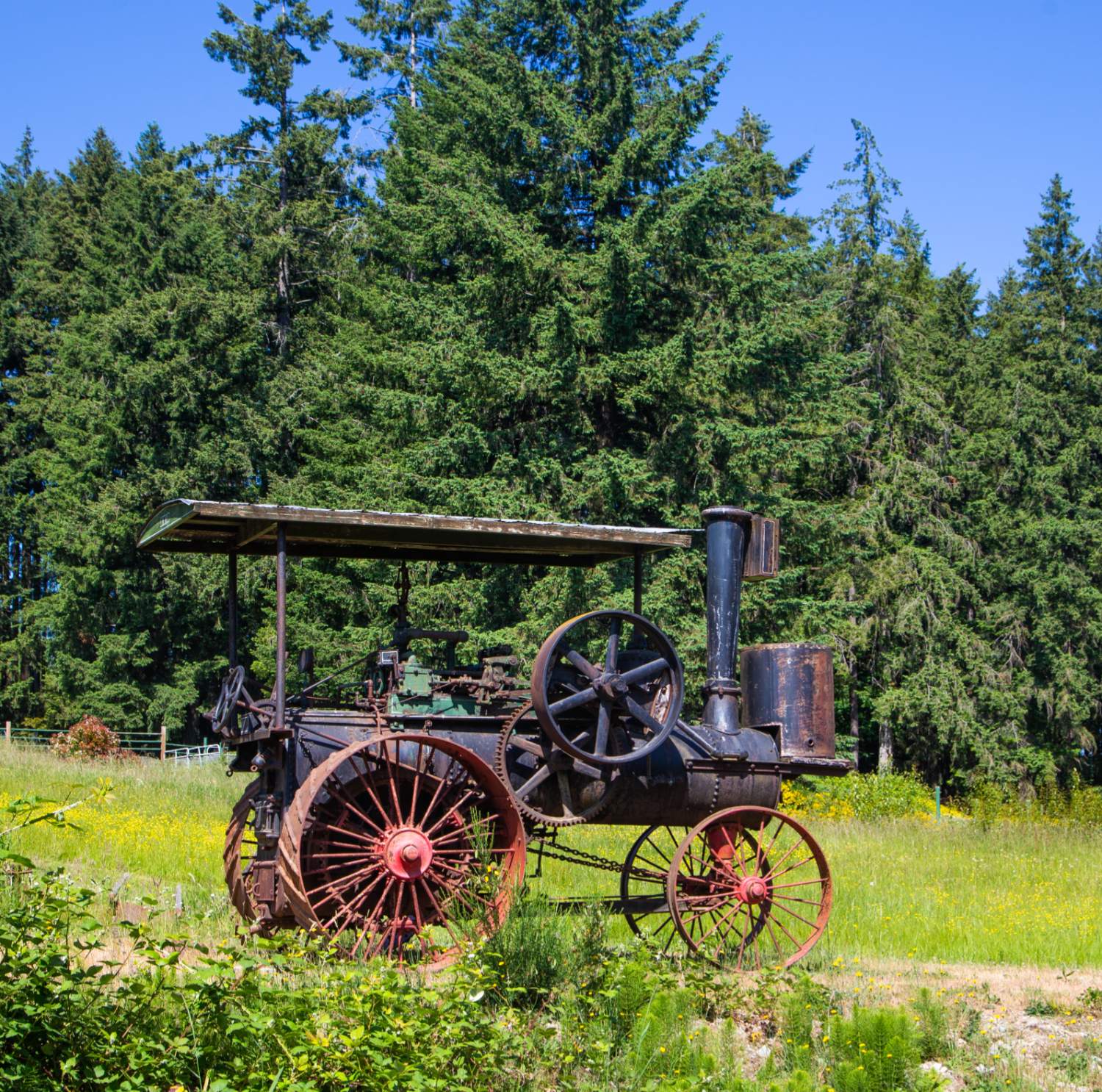 Solve A steam-powered tractor jigsaw puzzle online with 144 pieces