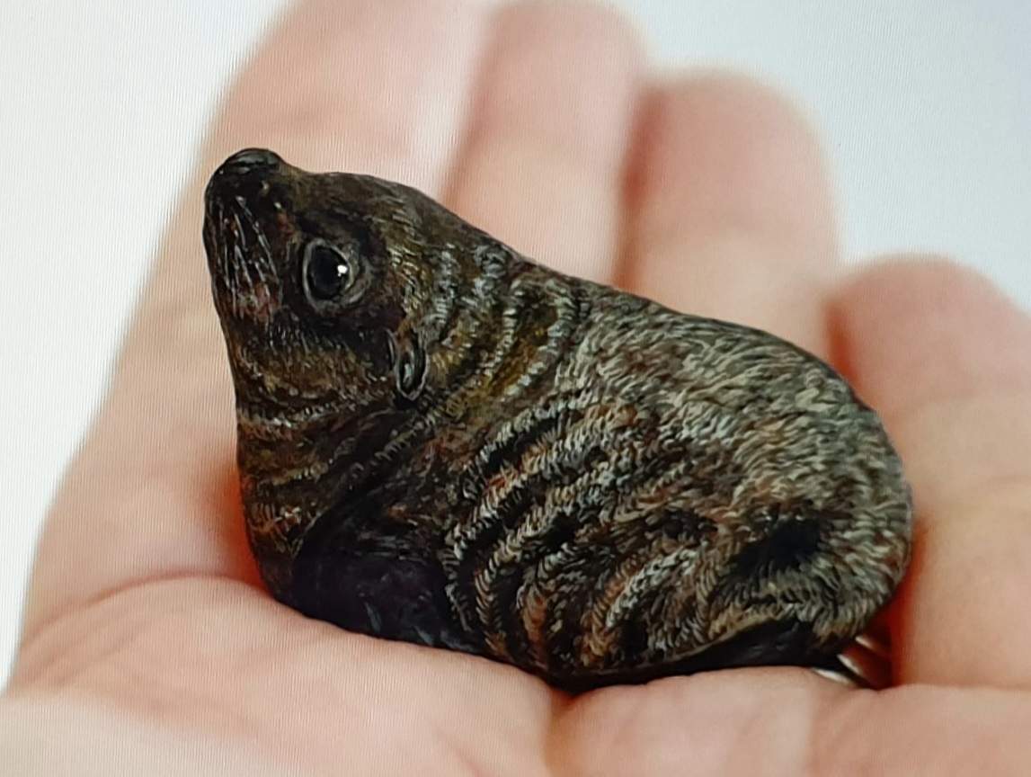 Solve SEAL PUP jigsaw puzzle online with 30 pieces