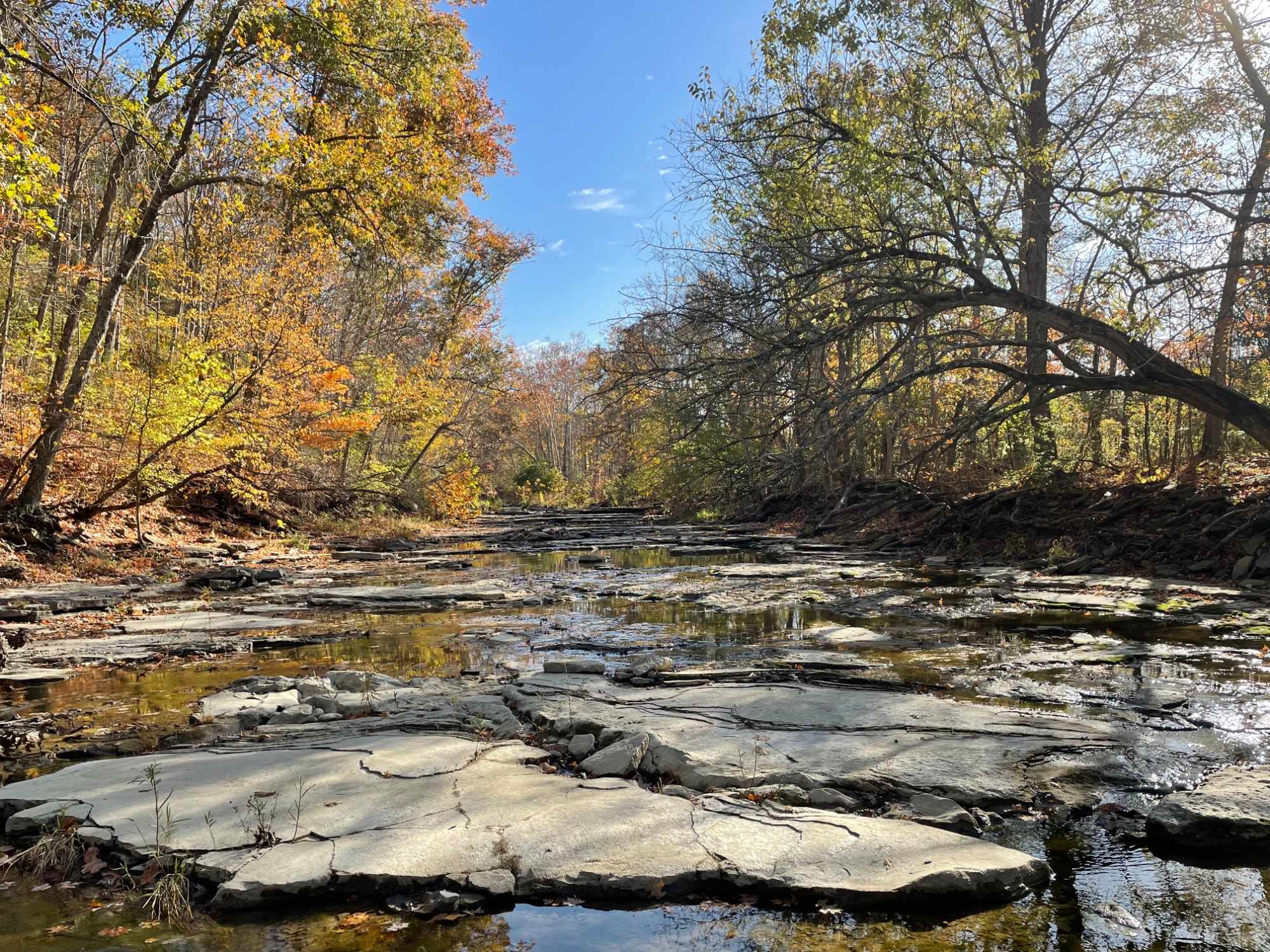 Solve Slow running creek in Kentucky jigsaw puzzle online with 88 pieces