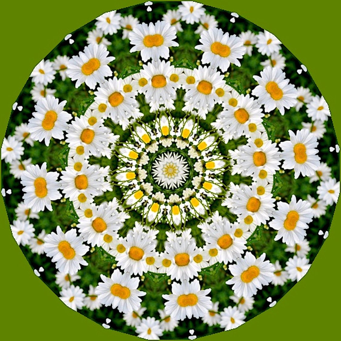 Jigsaw Puzzle | 25 pieces | #2 very small | Jigidi