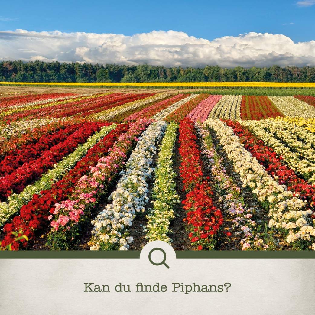 Solve Can you find the chick? :-) jigsaw puzzle online with 25 pieces