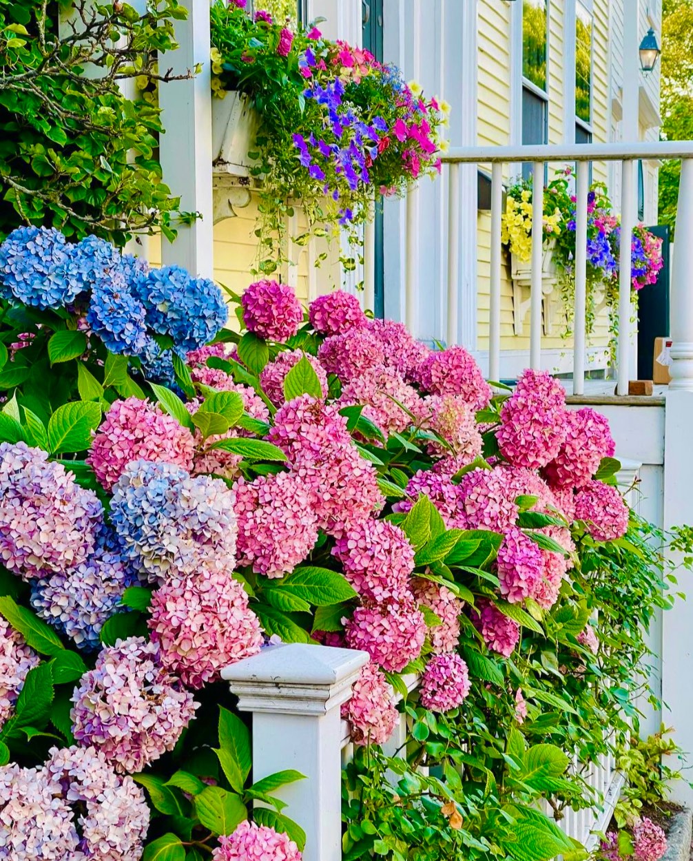 Solve Flower power jigsaw puzzle online with 80 pieces