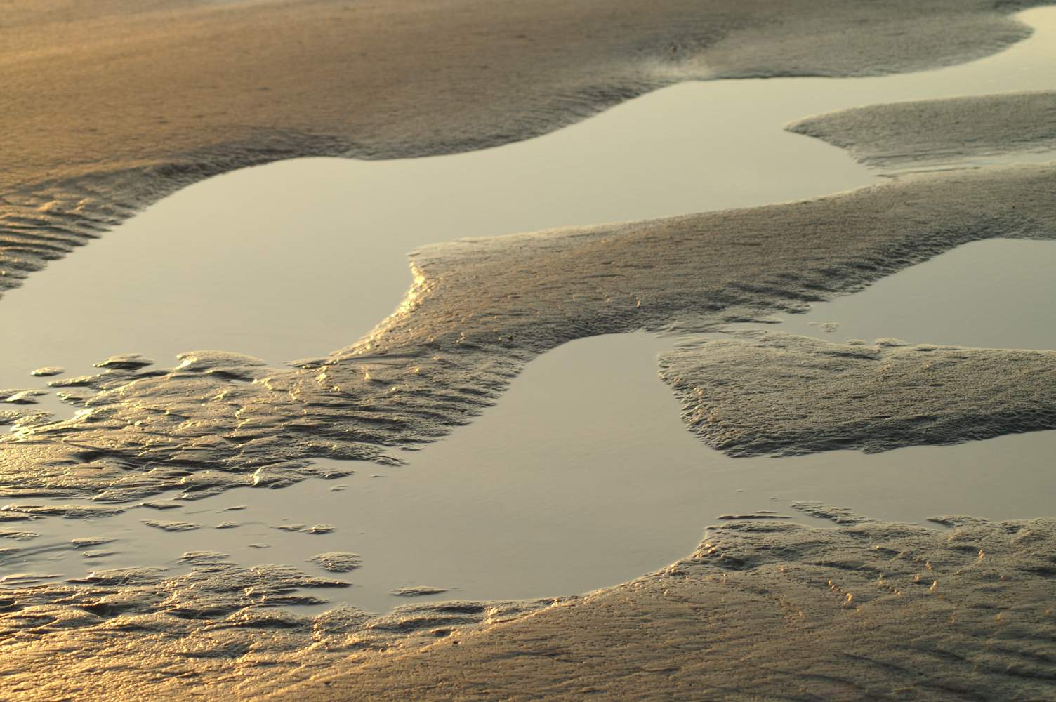 Solve Sand Pools jigsaw puzzle online with 260 pieces