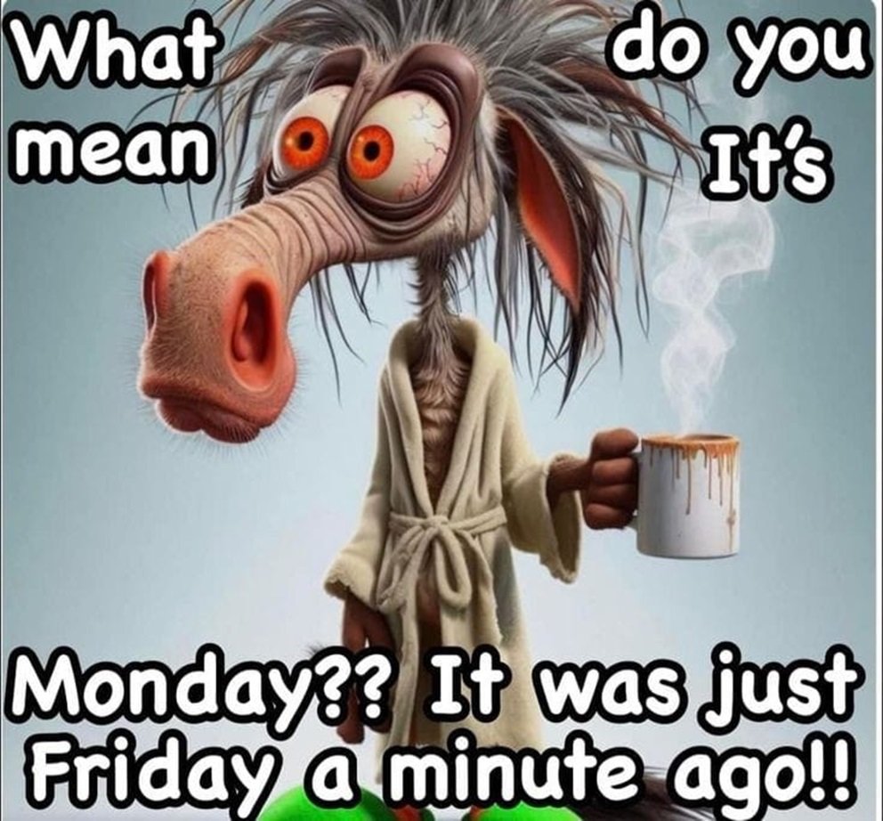 Solve Monday Surprise jigsaw puzzle online with 90 pieces