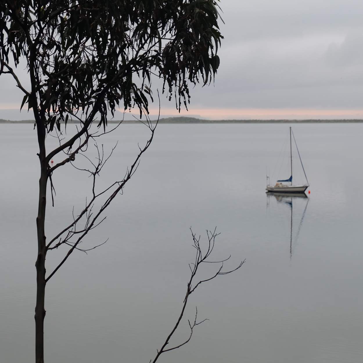 Solve Bruny Island, Tasmania, Australia in the dawn light jigsaw puzzle ...
