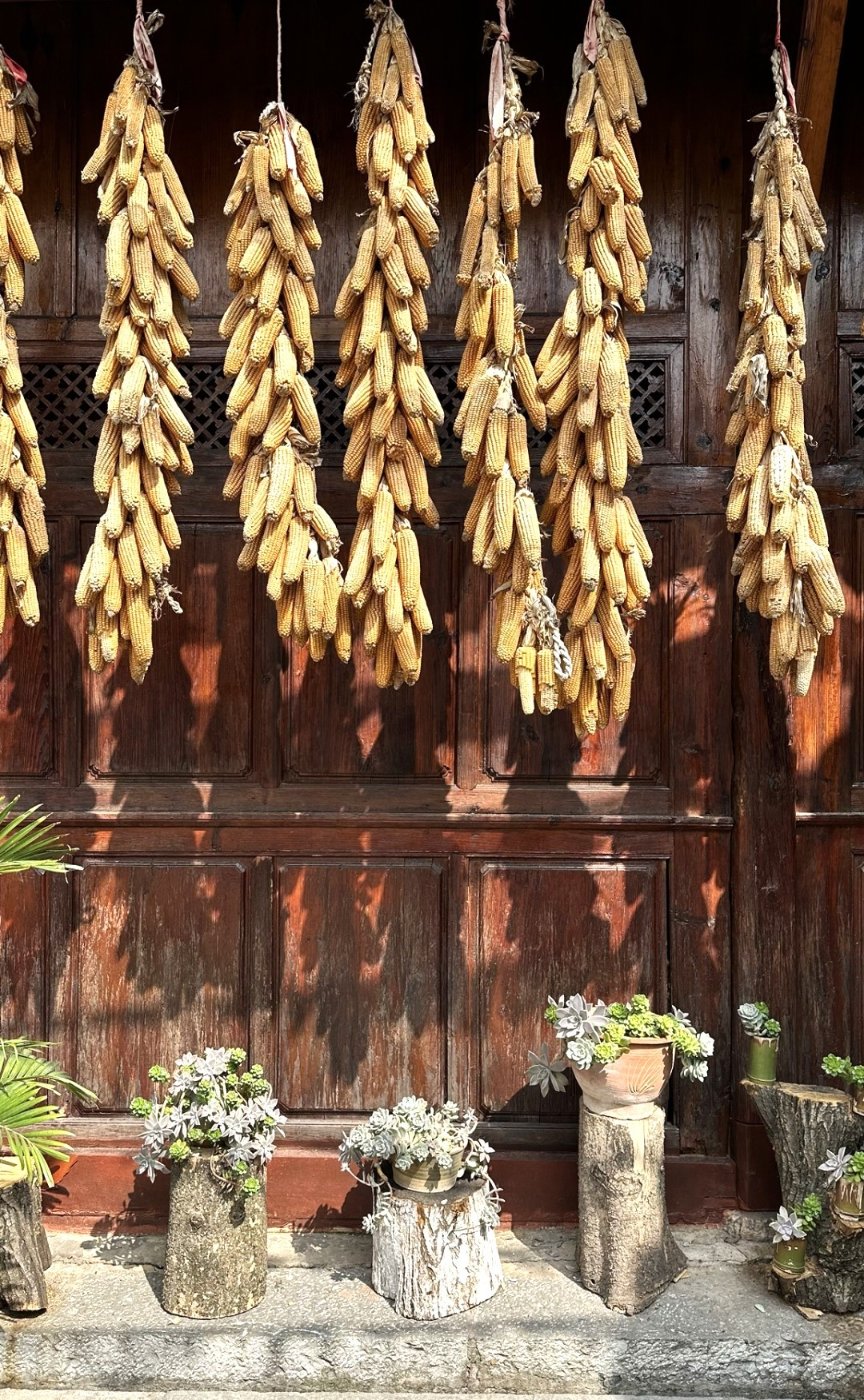 Solve Drying Corn jigsaw puzzle online with 28 pieces