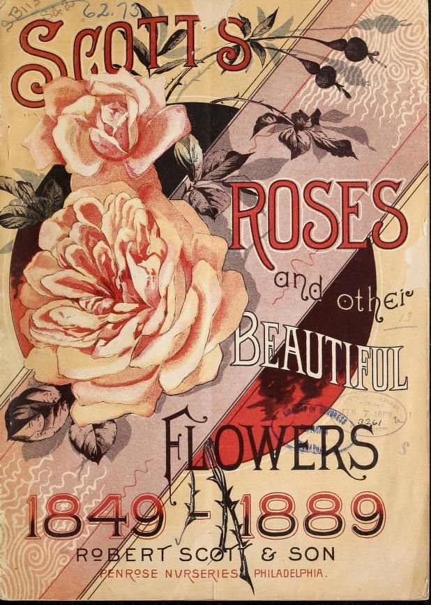 Solve Scott's Roses Ad jigsaw puzzle online with 88 pieces
