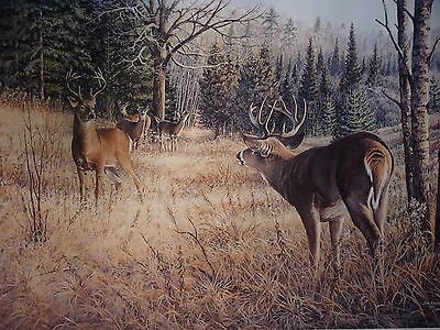 Solve Autumn Challenge-Whitetail Deer by Jim Kasper jigsaw puzzle ...