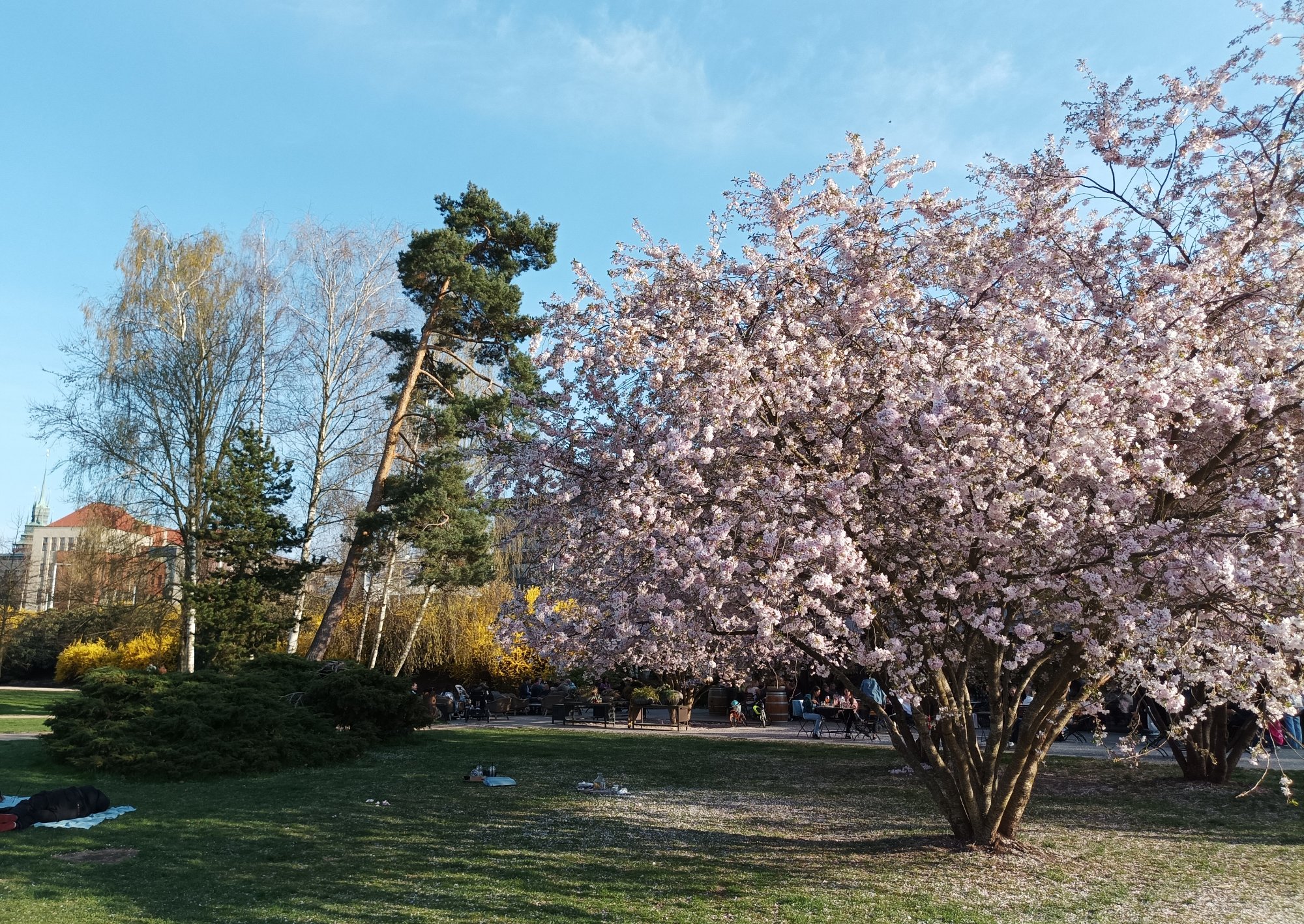 Solve spring jigsaw puzzle online with 130 pieces