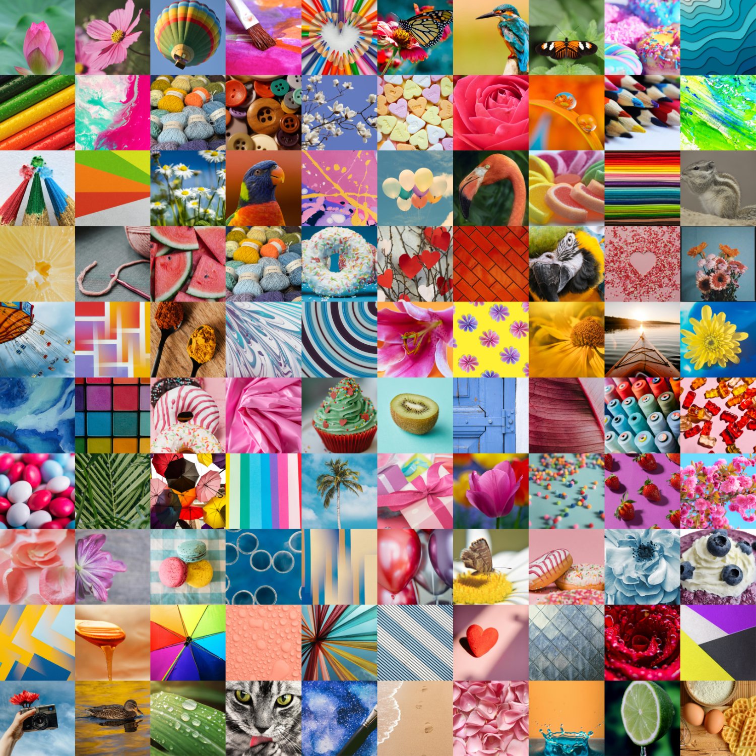 Solve Collage 3451 10x10 jigsaw puzzle online with 100 pieces