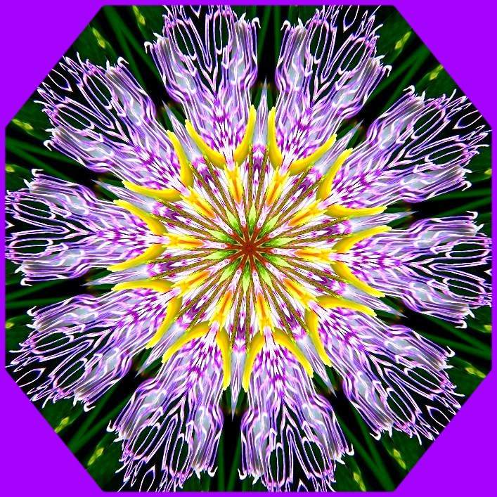 Solve Passion Flower 👍 jigsaw puzzle online with 25 pieces