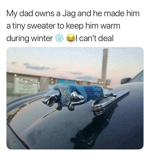 Solve Jag jigsaw puzzle online with 36 pieces