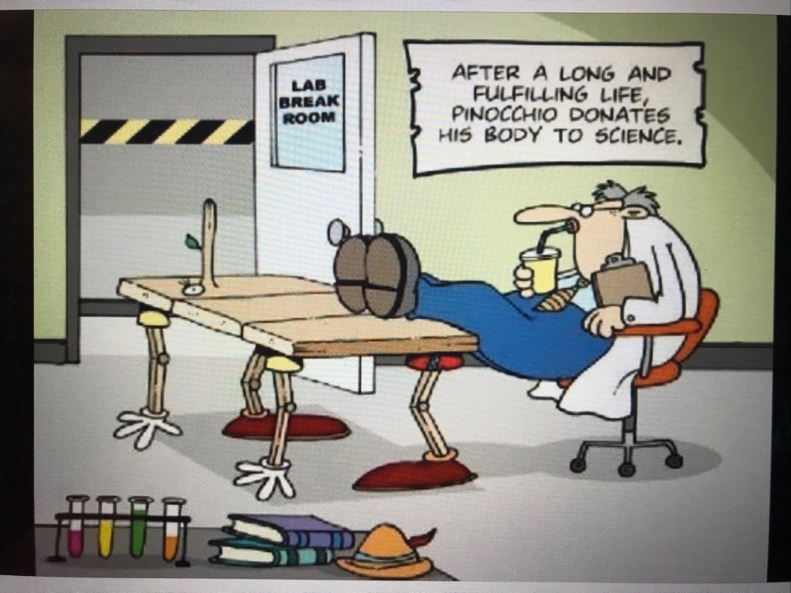 Solve DAILY FUNNY jigsaw puzzle online with 35 pieces