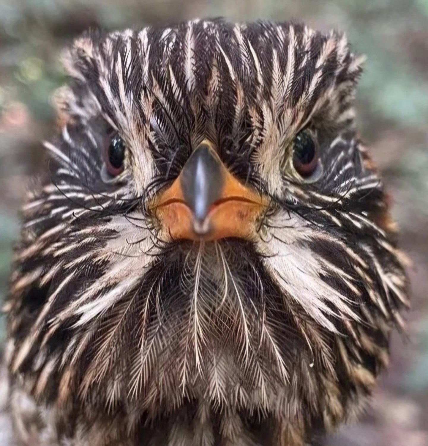 Solve ff5345b7-889c-44b9-b402-3e15c91cf862-1_all_31833 jigsaw puzzle ...