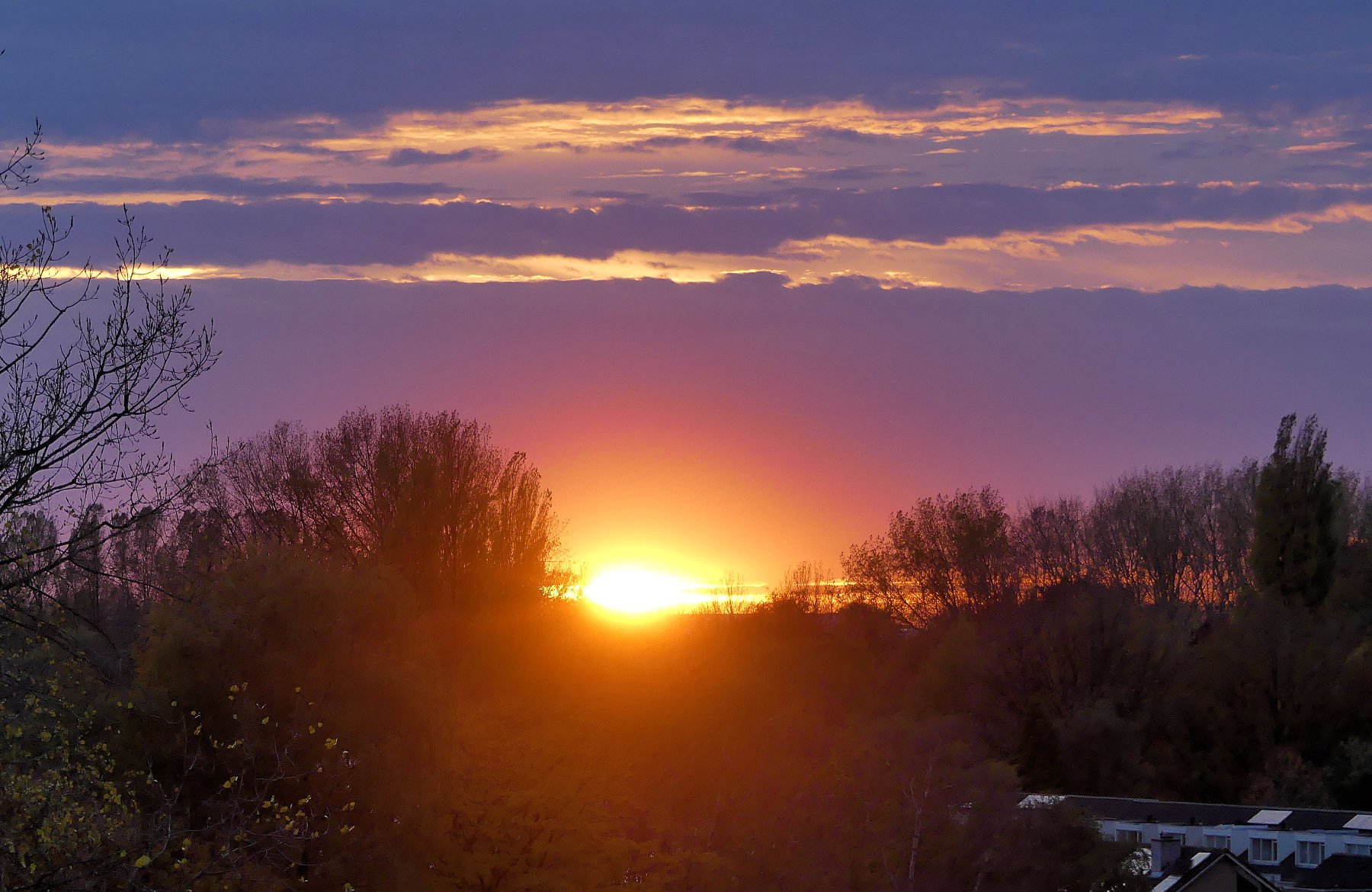 Solve sunset today, November 5 jigsaw puzzle online with 54 pieces
