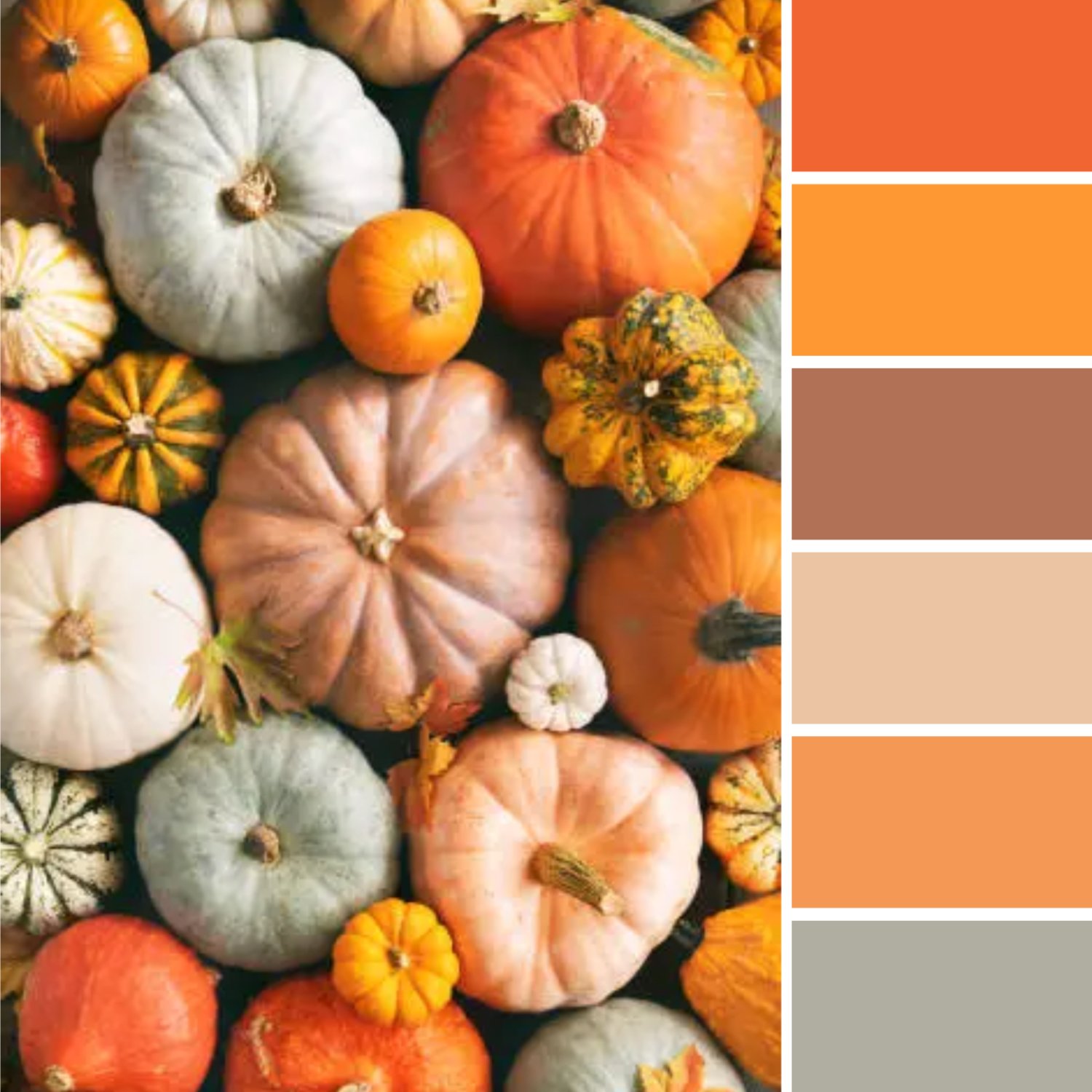 Solve Pumpkin Fun - XL jigsaw puzzle online with 600 pieces