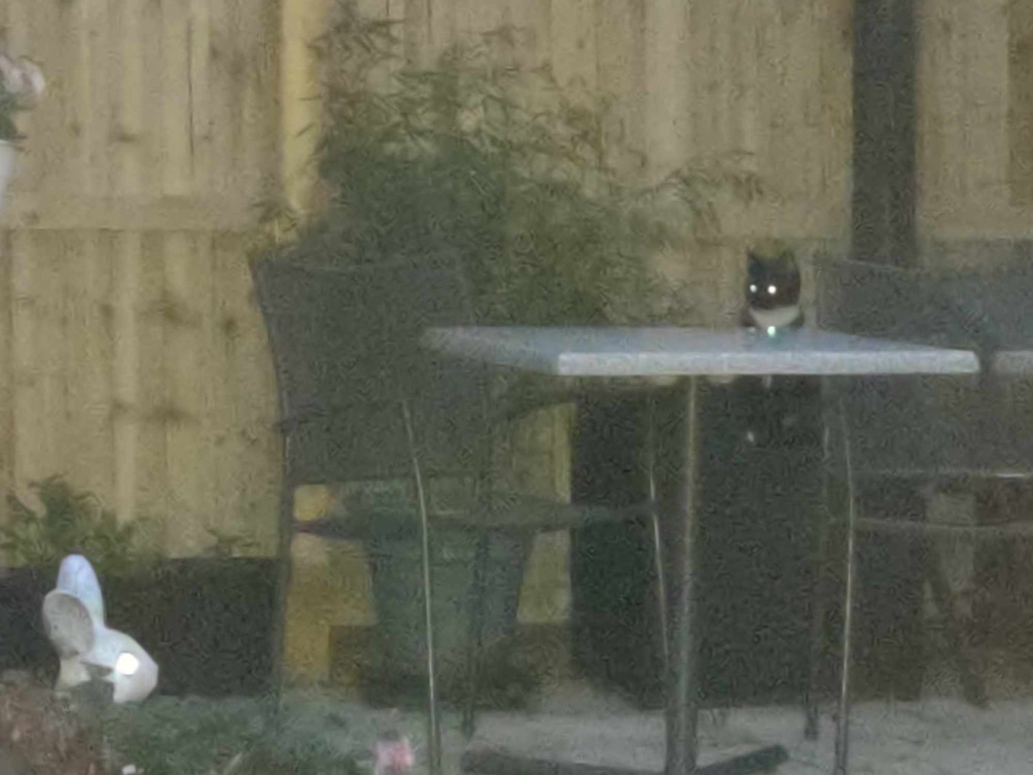 Solve Roxie 153 - Rosie (bottom left) & Roxie - both laser beam eyes 👀 ...