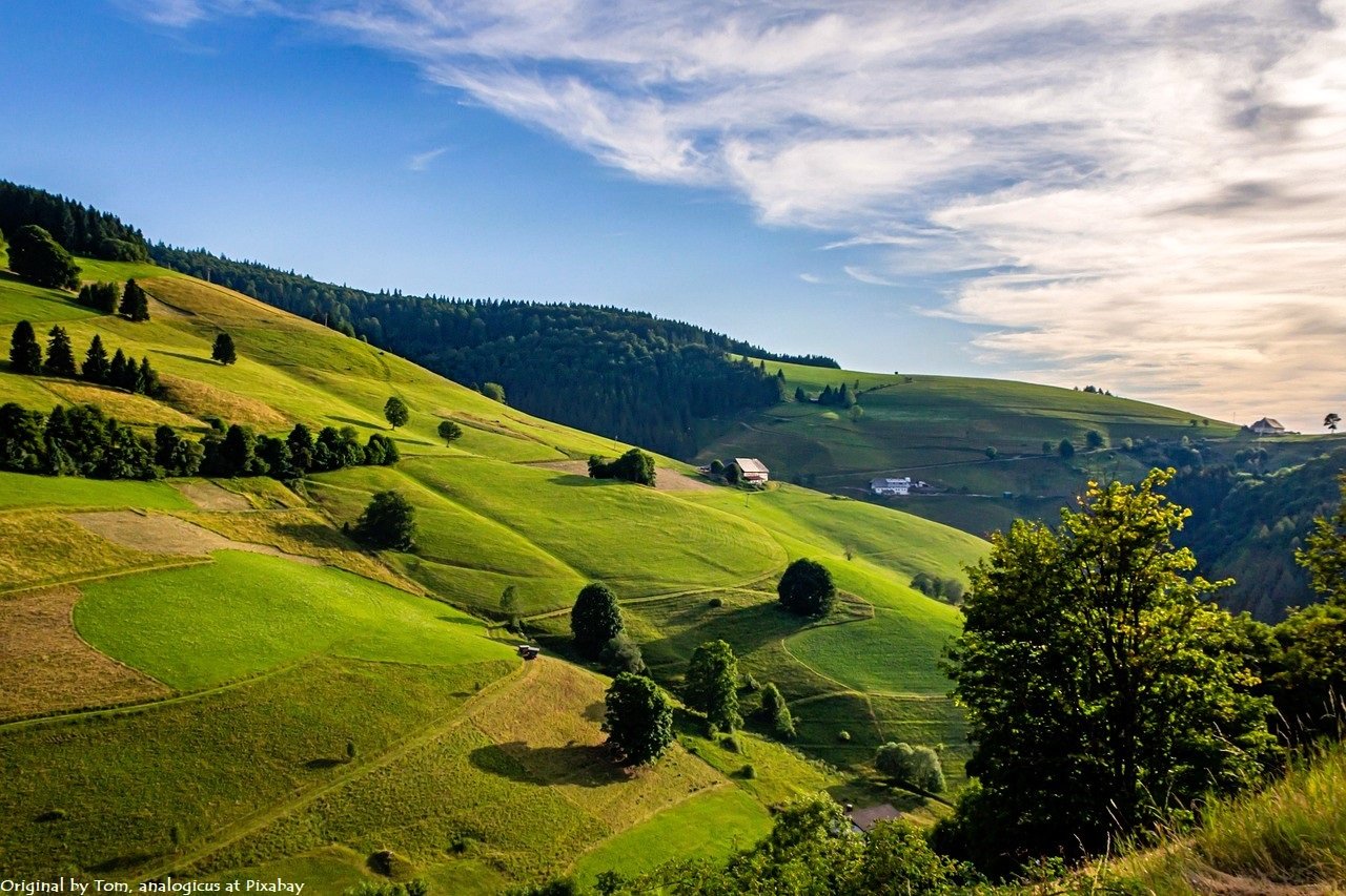 Solve Black Forest landscape ~ Baden-Württemberg, Germany 🌳 jigsaw ...