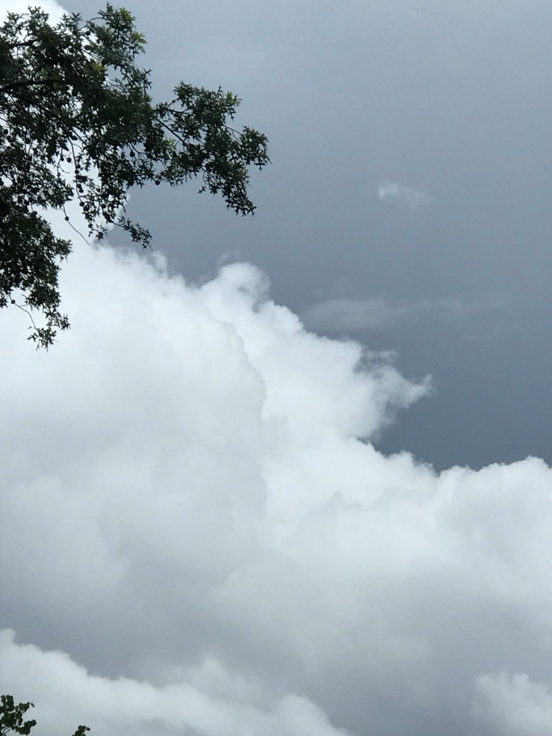 Solve Billowing Clouds (medium) jigsaw puzzle online with 88 pieces