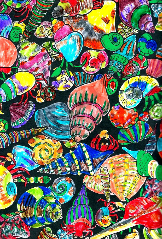 Solve Shells Coloring Shells jigsaw puzzle online with 70 pieces