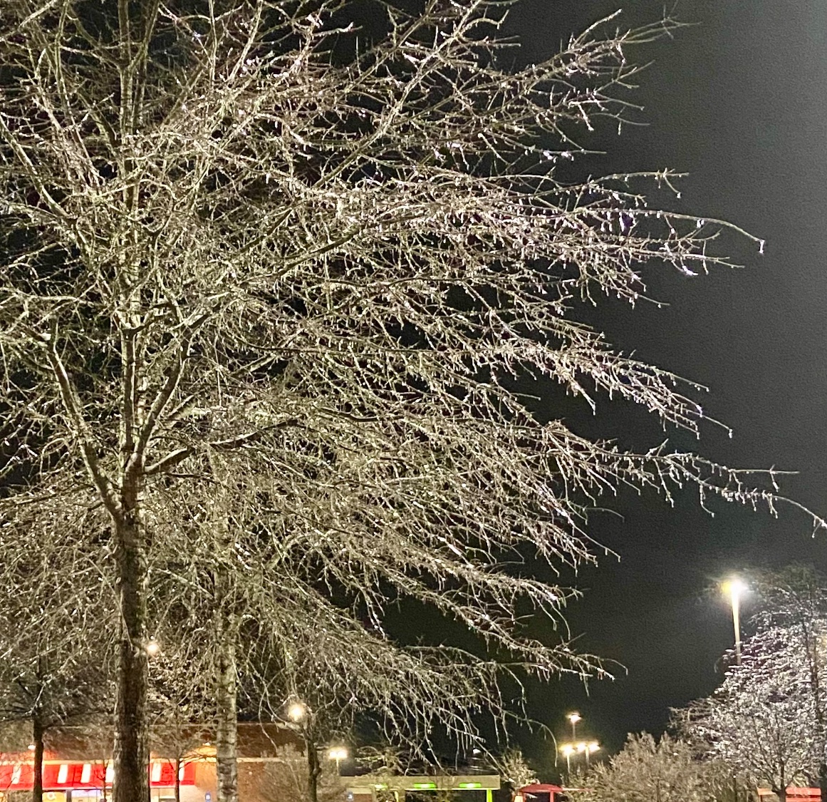 Solve Ice tree jigsaw puzzle online with 25 pieces