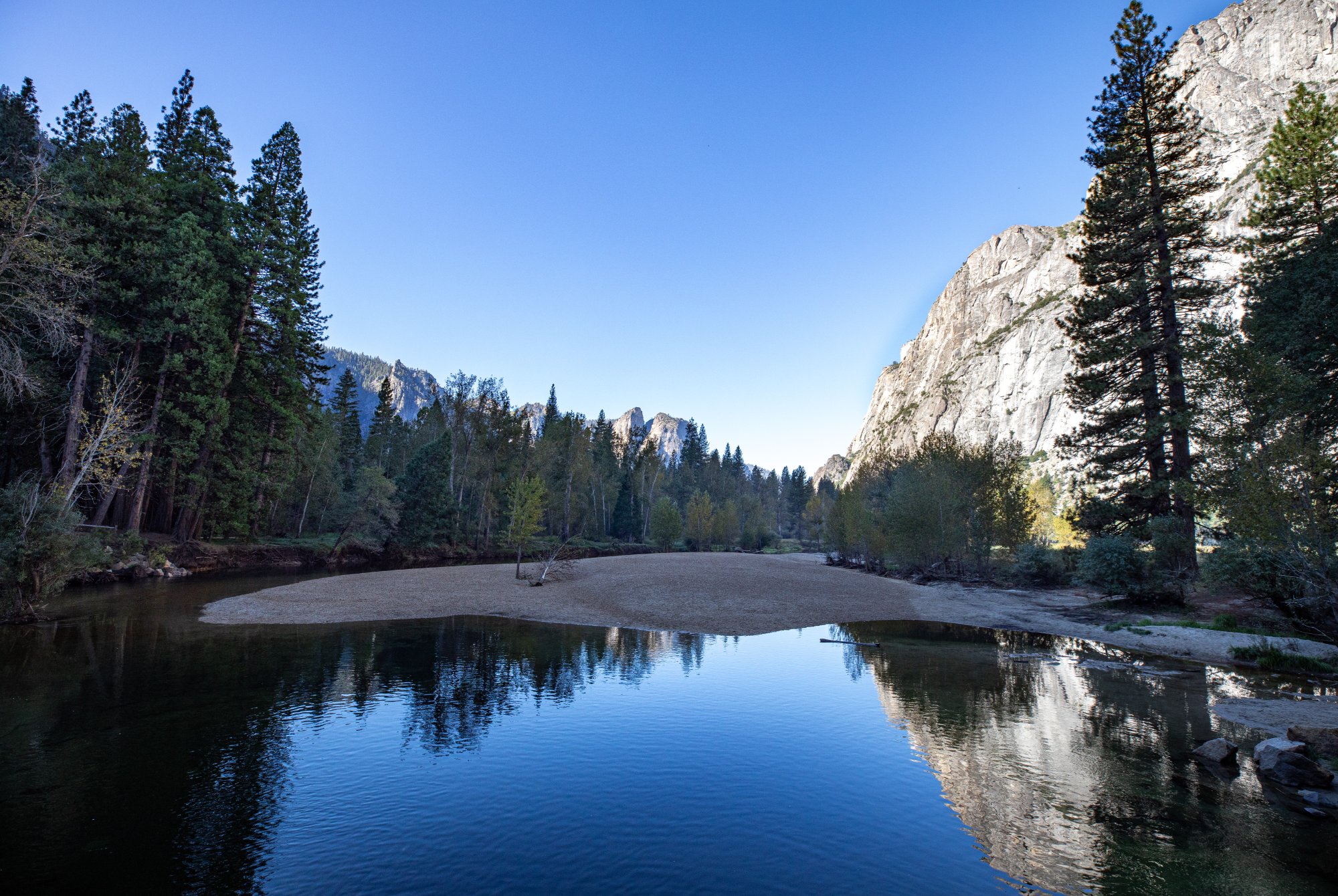 Solve THE SHADY LOOK jigsaw puzzle online with 77 pieces