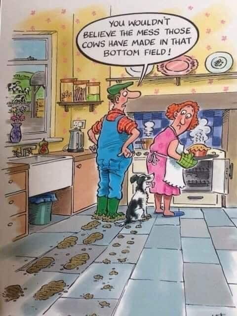 Solve Mess :-) jigsaw puzzle online with 20 pieces