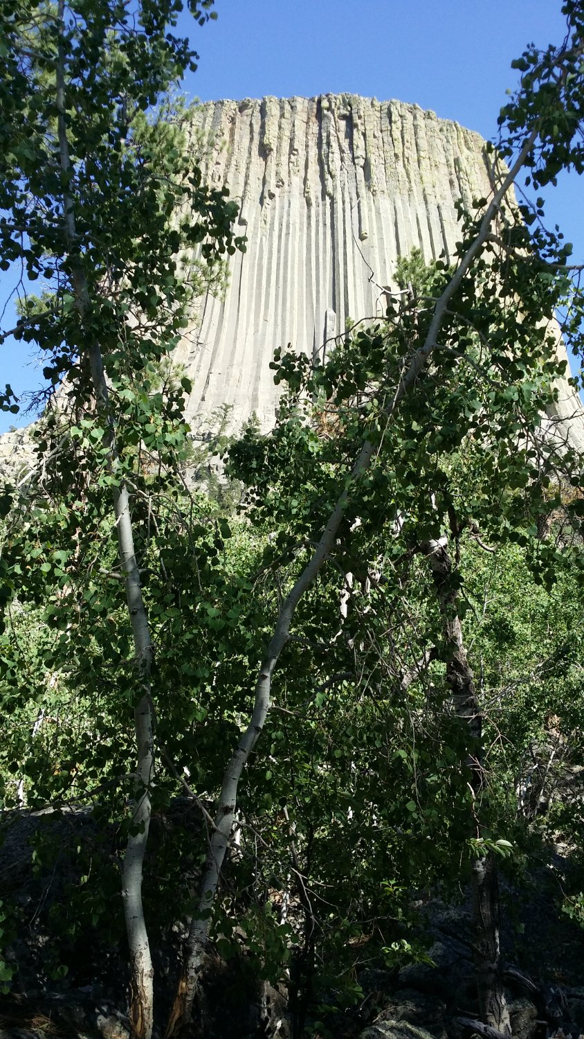 Solve Devils Tower jigsaw puzzle online with 350 pieces