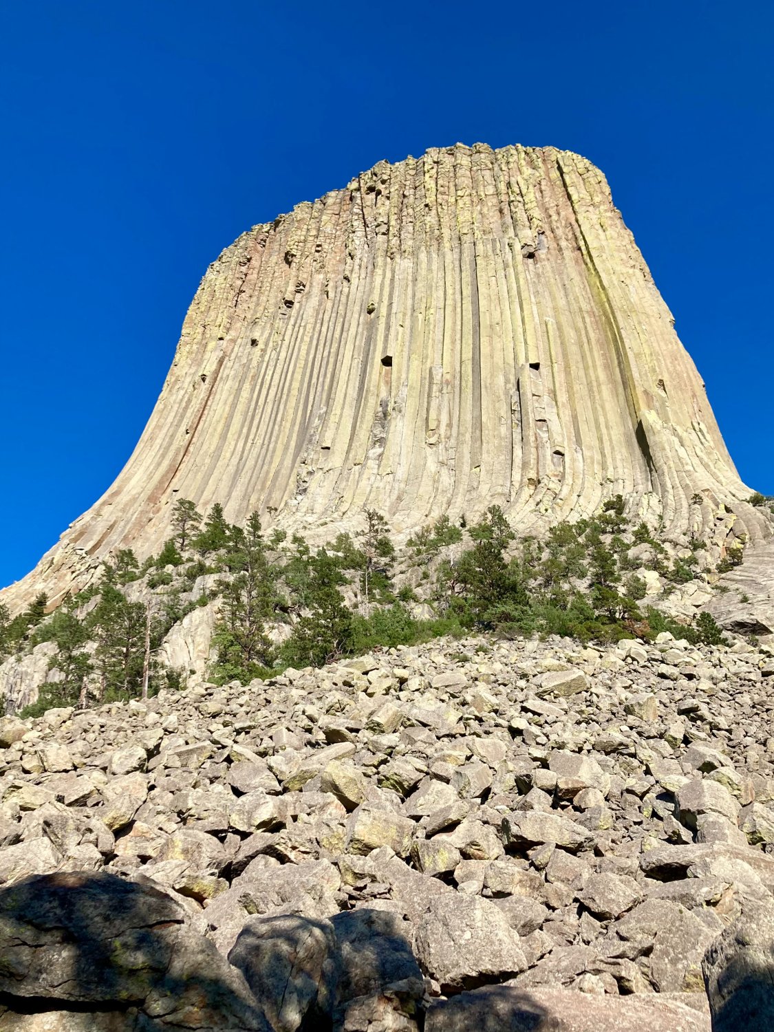 Solve Devils Tower, Wyoming jigsaw puzzle online with 80 pieces