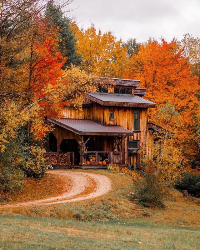 Solve The house blends right in.... jigsaw puzzle online with 63 pieces