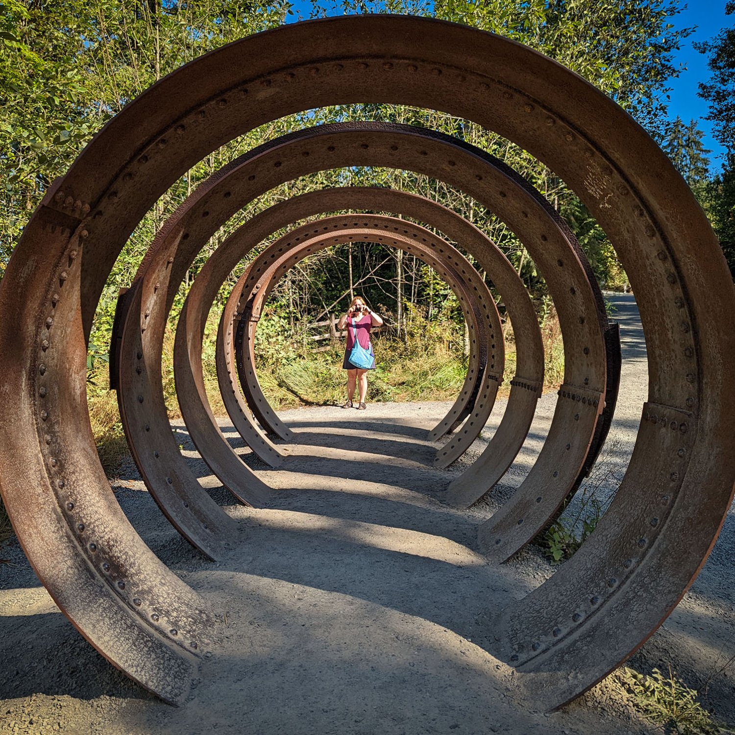 Solve Tunnel Vision jigsaw puzzle online with 100 pieces
