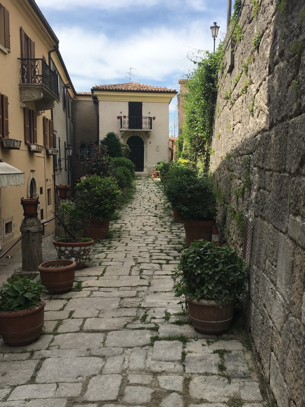 Solve Italian garden walkway jigsaw puzzle online with 99 pieces
