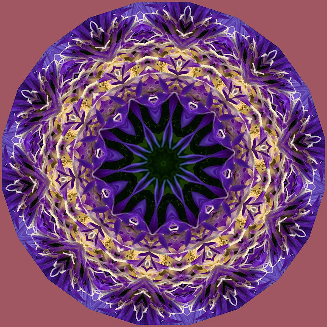 Solve #2 small jigsaw puzzle online with 64 pieces