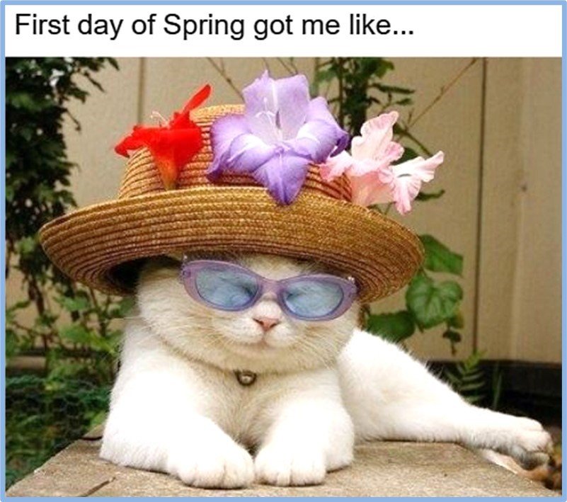 Solve Happy First Day of Spring! jigsaw puzzle online with 30 pieces