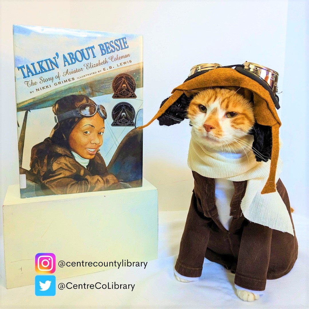 Solve Cat Icon Game #223 - Horatio the Library Cat celebrates aviator ...