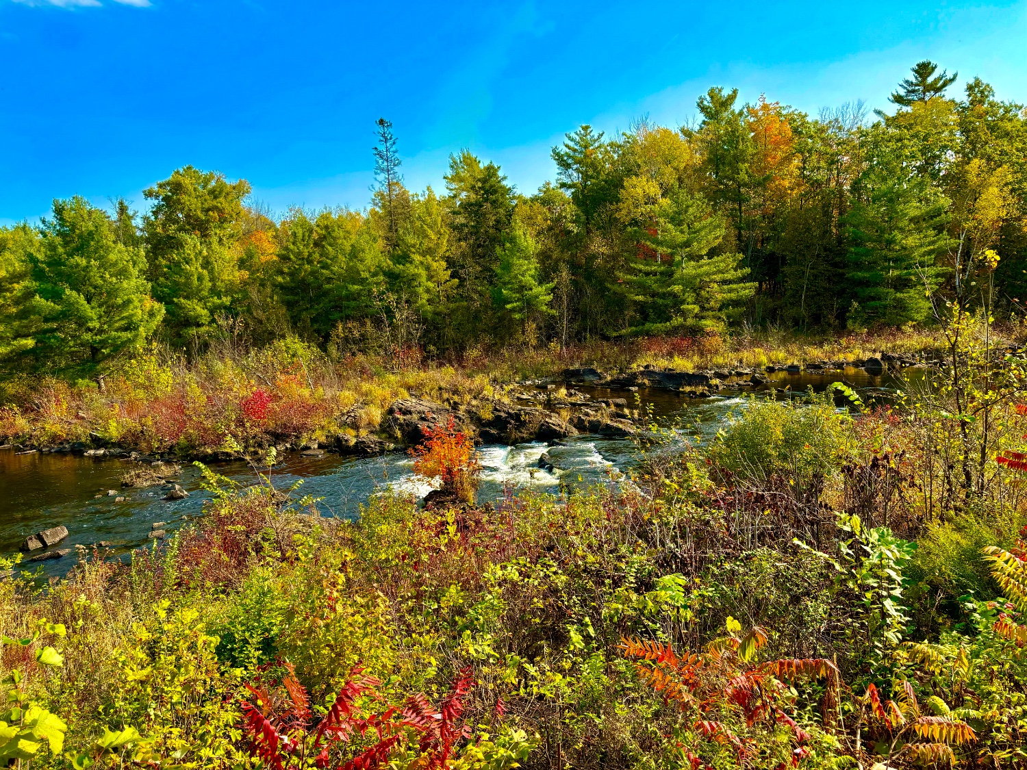 Solve Cool, lazy autumn afternoon. jigsaw puzzle online with 20 pieces