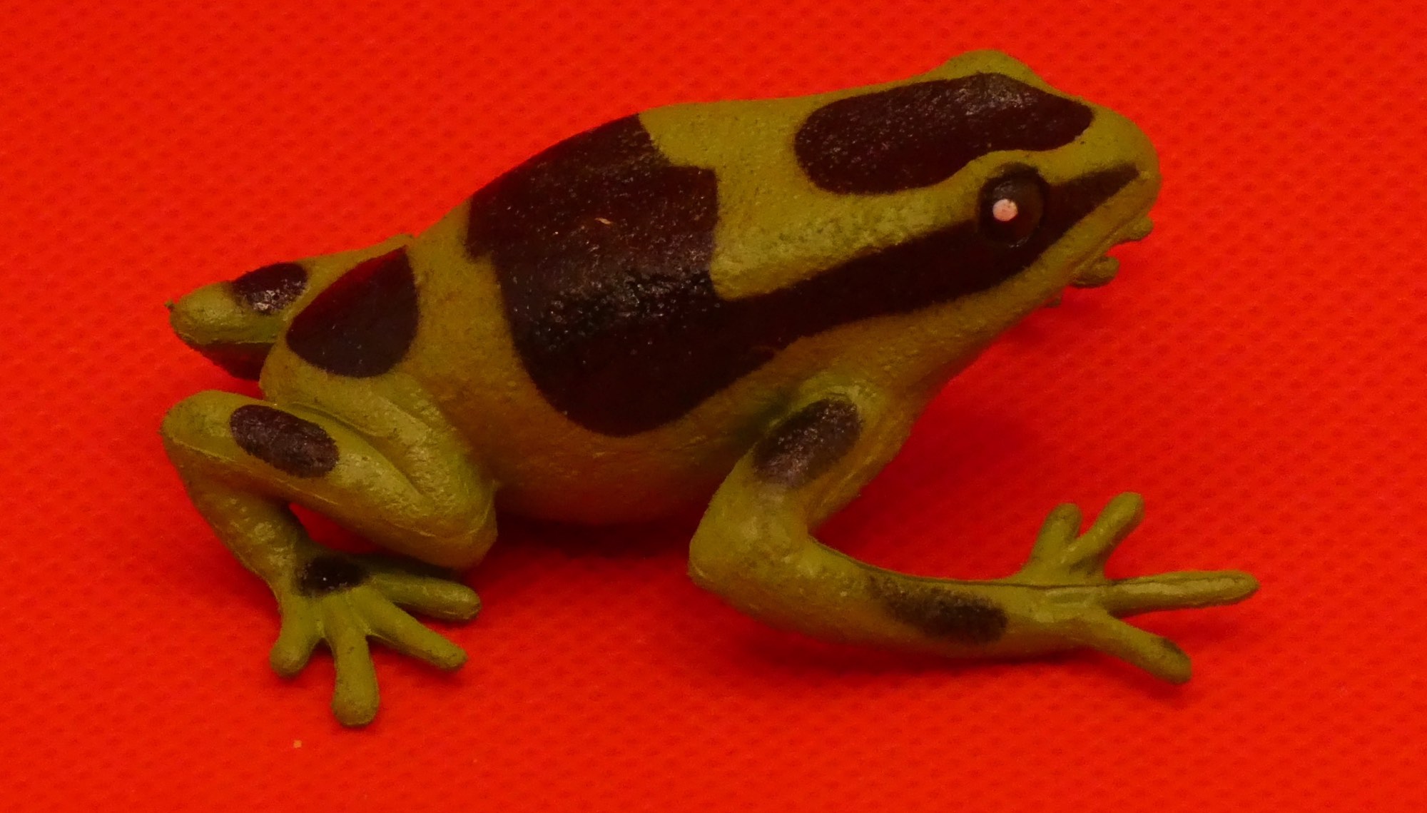 Solve a frog 1 jigsaw puzzle online with 112 pieces